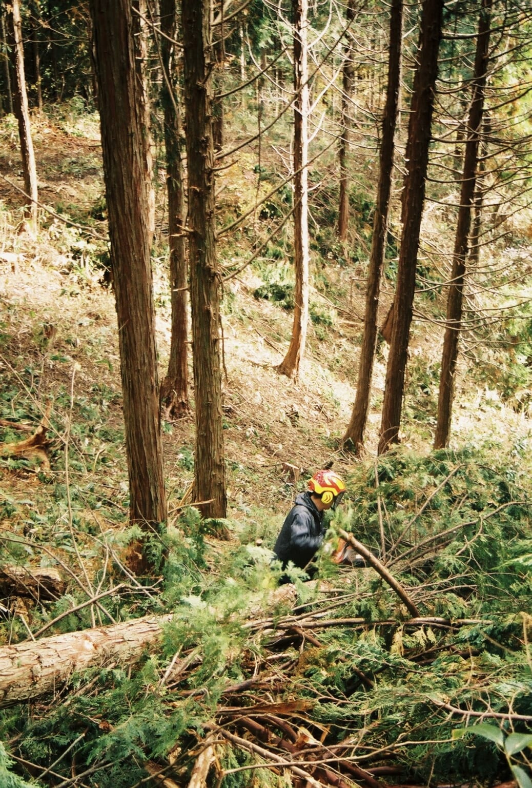 コンビットソリッド J｜WOODONE