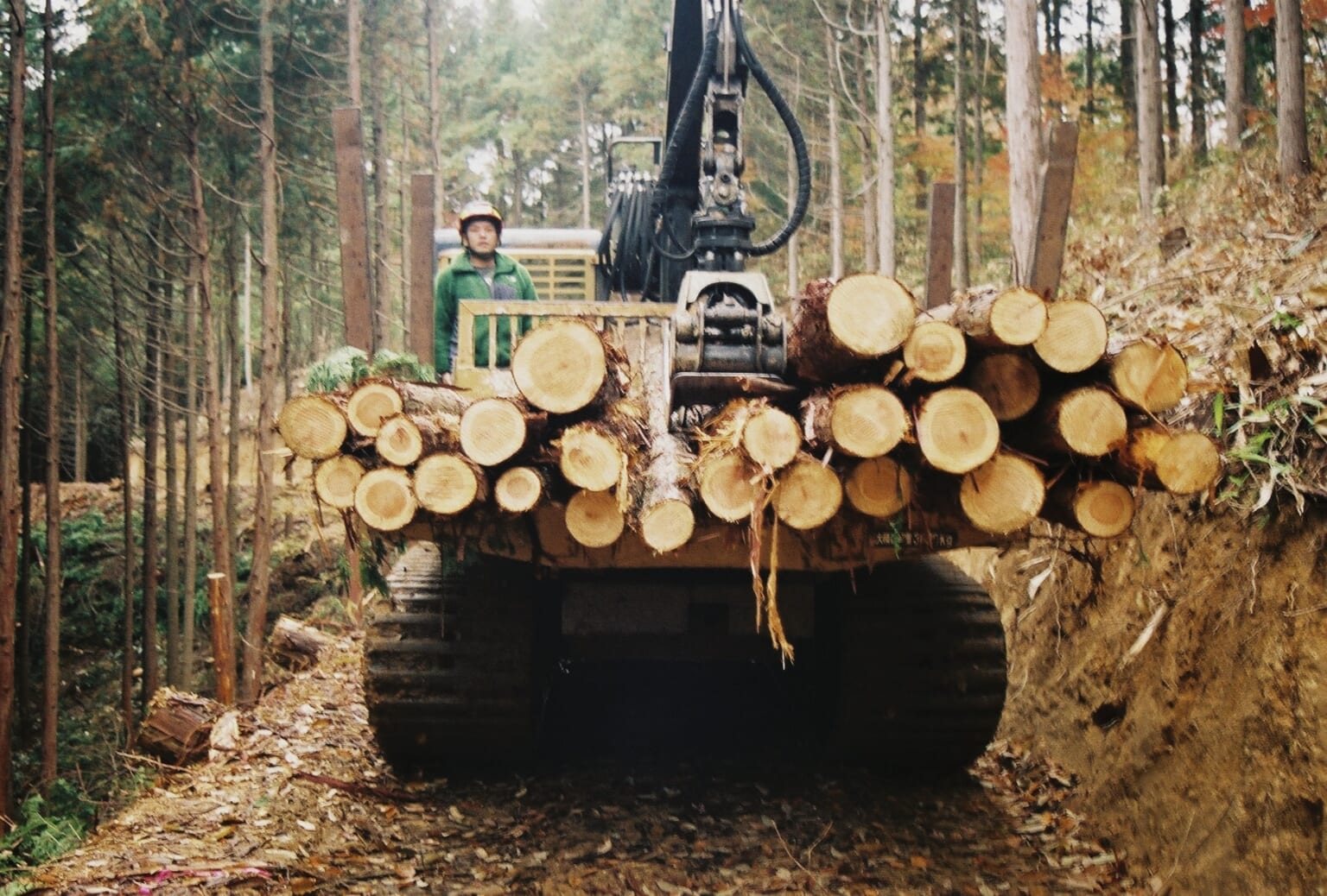 コンビットソリッド J｜WOODONE